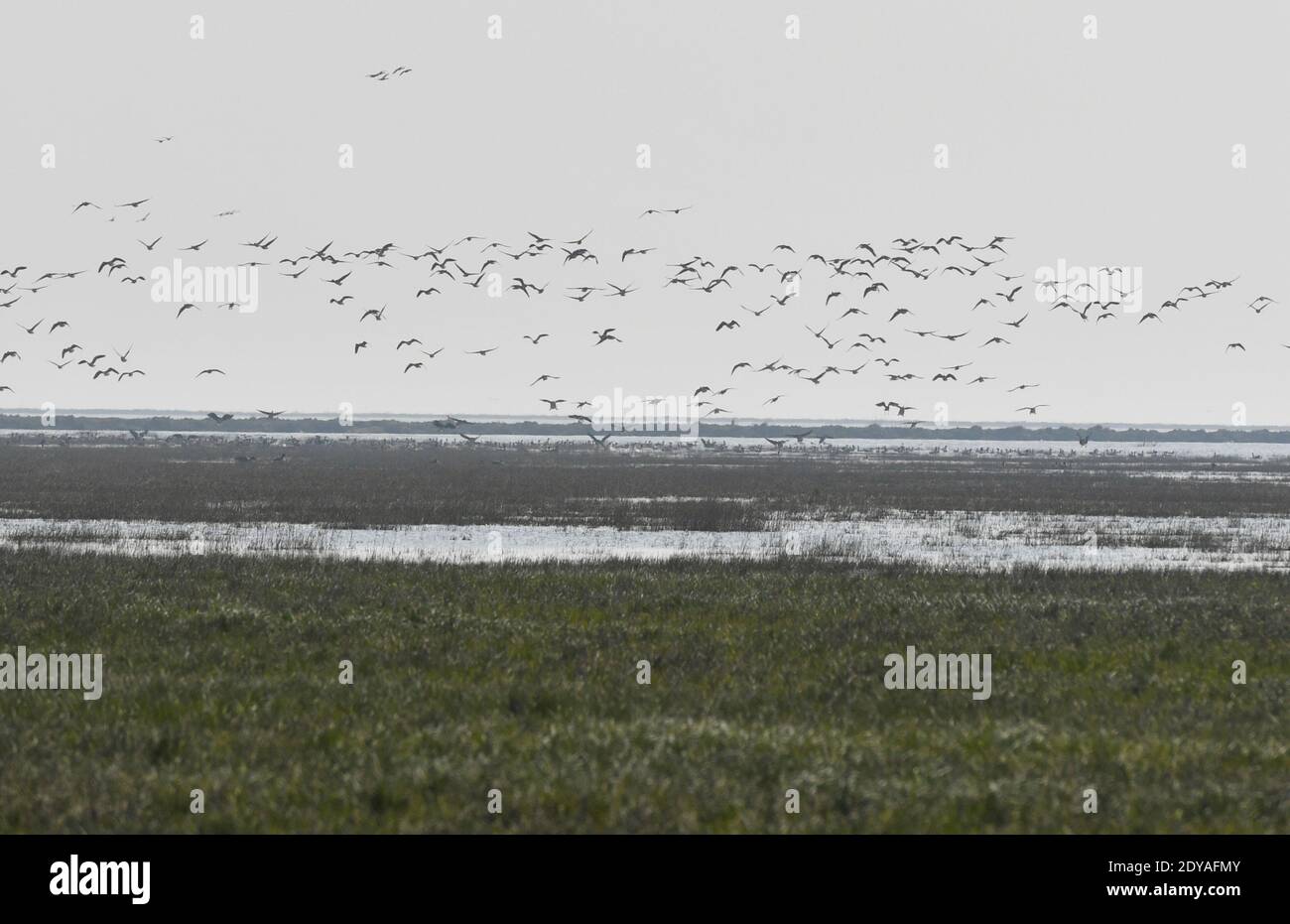 The magnificent sight of China's largest freshwater lake, Poyang Lake ...
