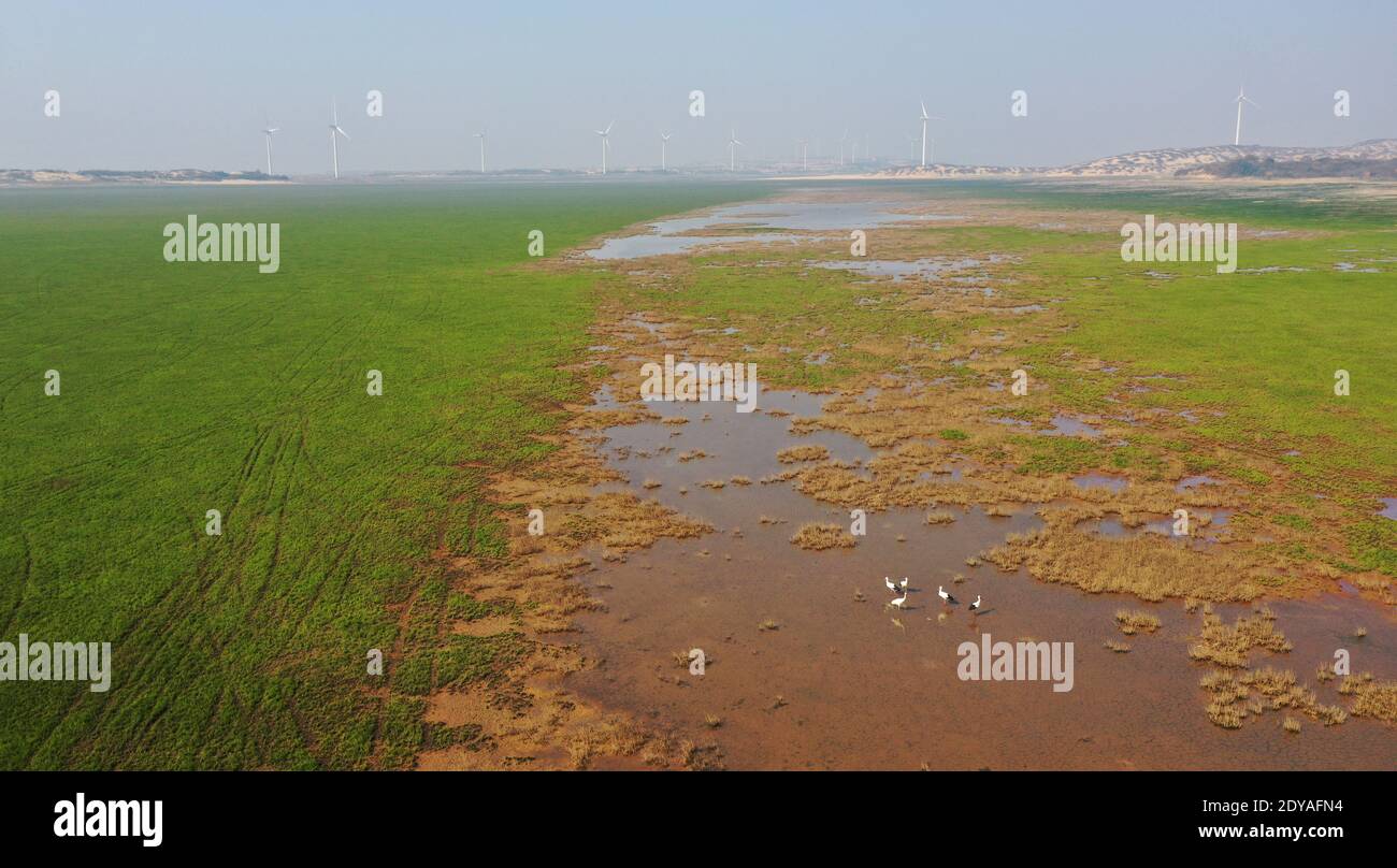 The magnificent sight of China's largest freshwater lake, Poyang Lake ...
