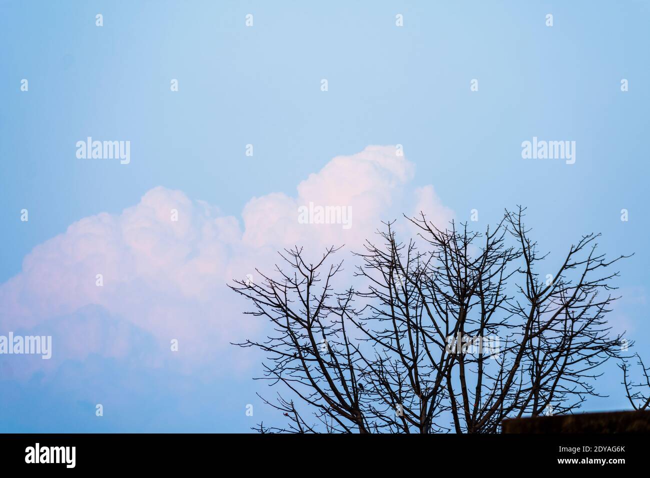 Fluffy pink clouds hi-res stock photography and images - Alamy