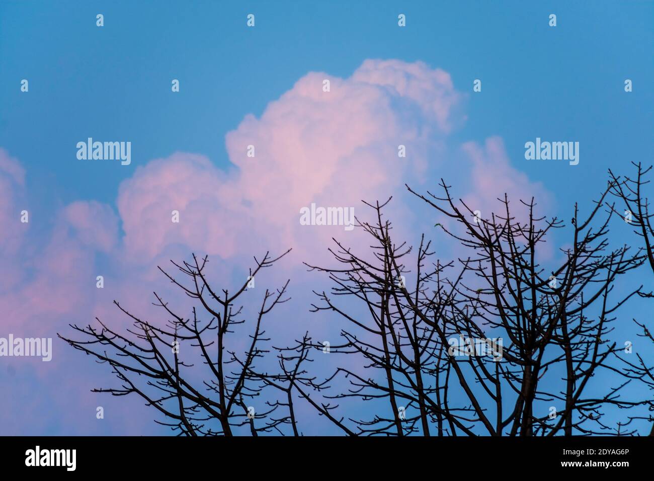 Purple clouds in the sky hi-res stock photography and images - Alamy