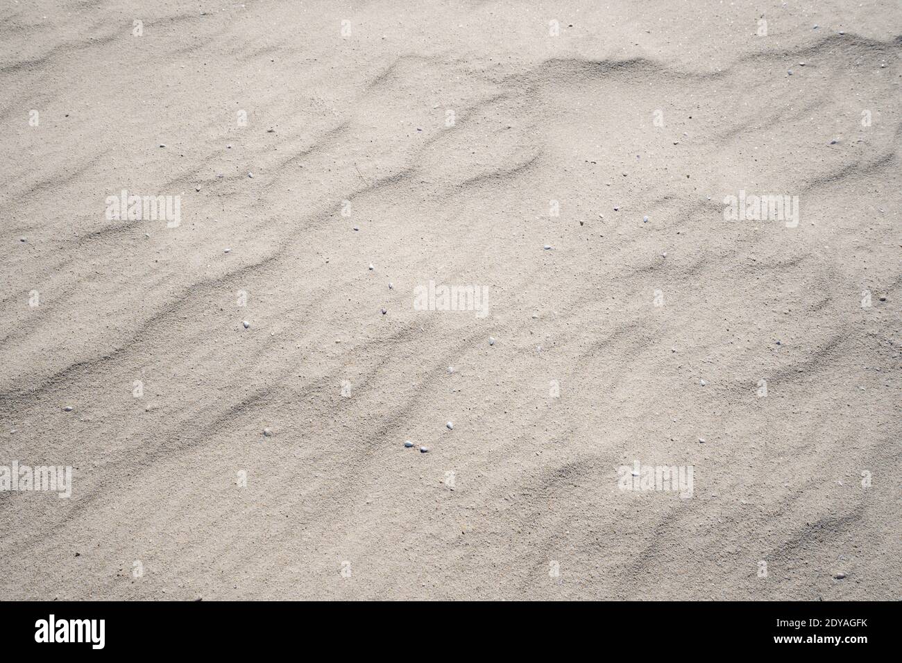 Sandy beach texture with small seashells on beach in sunny day Image ...