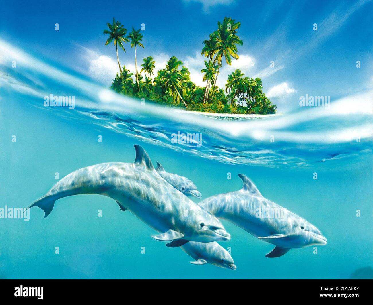 F R C O G High Resolution Stock Photography and Images - Alamy