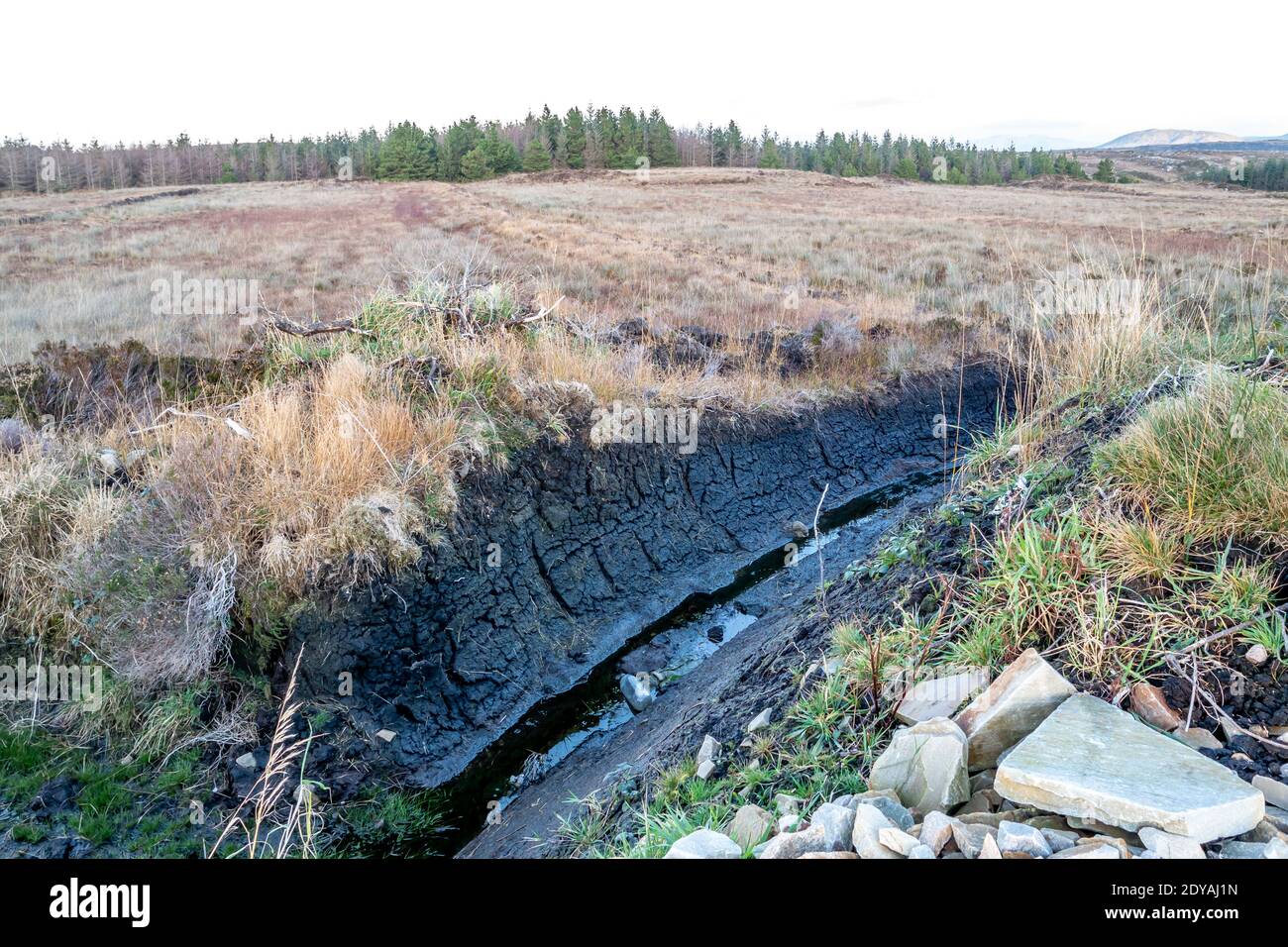 Finland falkland islands hi-res stock photography and images - Alamy