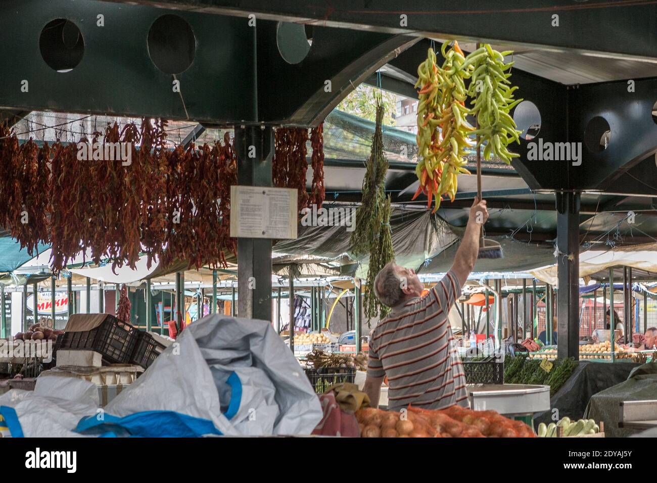 Chillies being hung up, Old Bazaar, Bitola, Macdonia, (FYROM ...