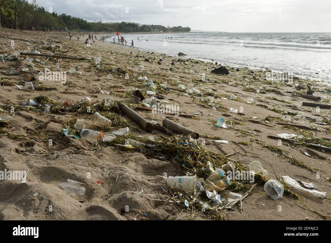Plastics and organic trashes litter the coastal line of famous Bali ...