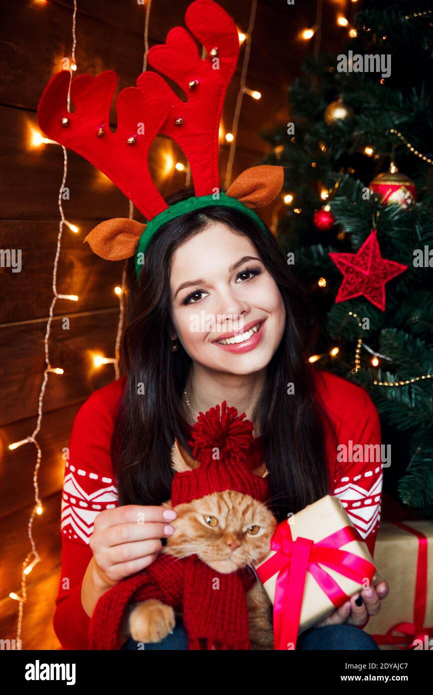 Red british shorthair hi-res stock photography and images - Alamy