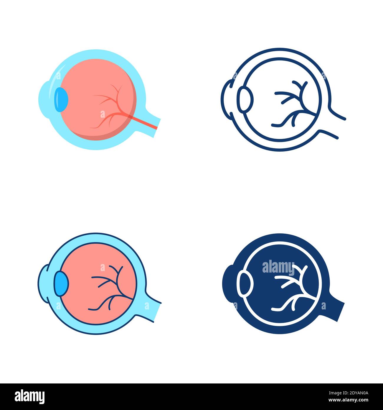 Eyeball icon set in flat and line style. Human body organ symbol ...