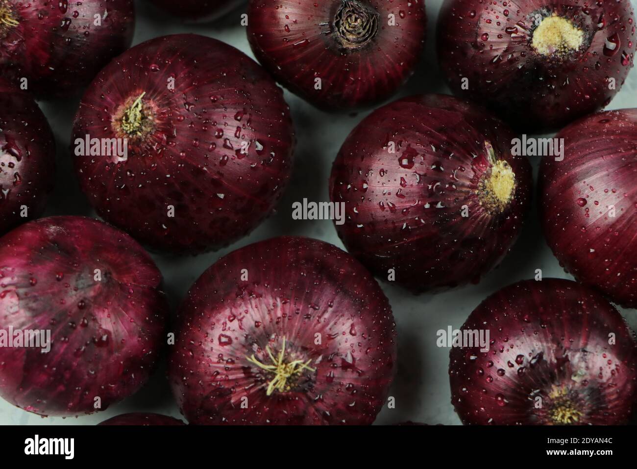 sweet red onions on background. High quality photo Stock Photo - Alamy