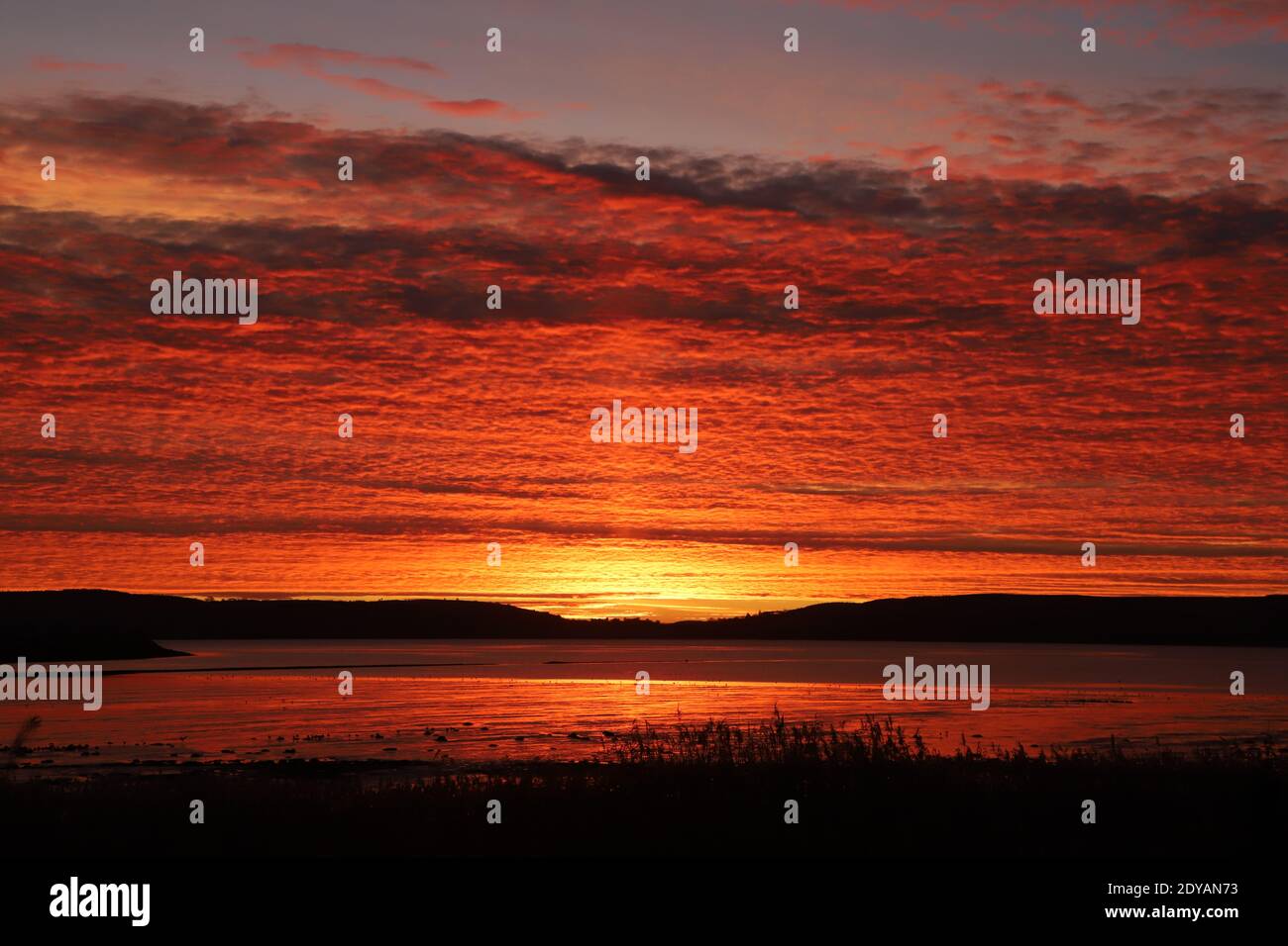 Invergowrie bay hi-res stock photography and images - Alamy