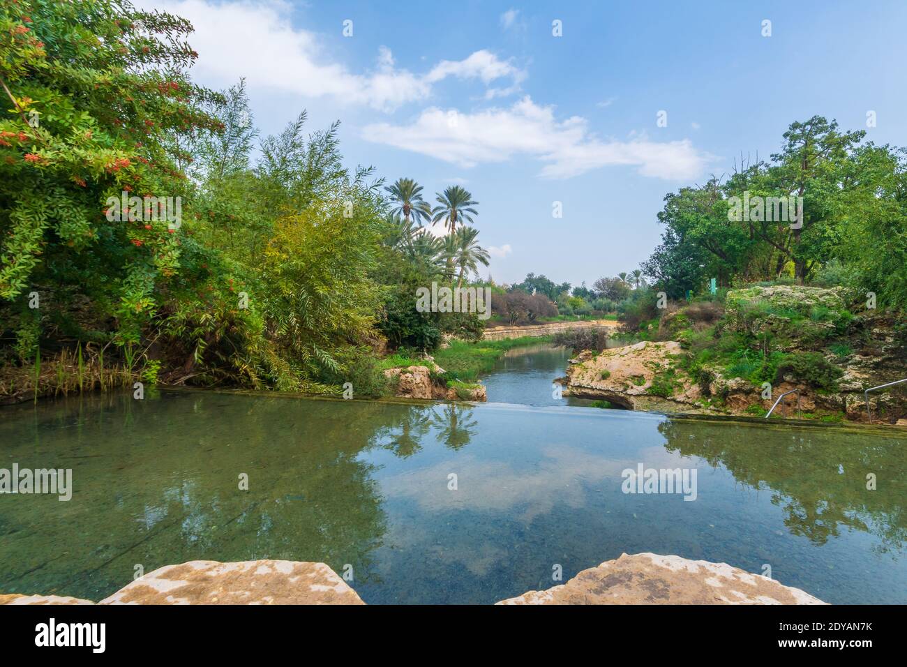 View of natural warm water pool in Gan HaShlosha National Park (Sakhne ...