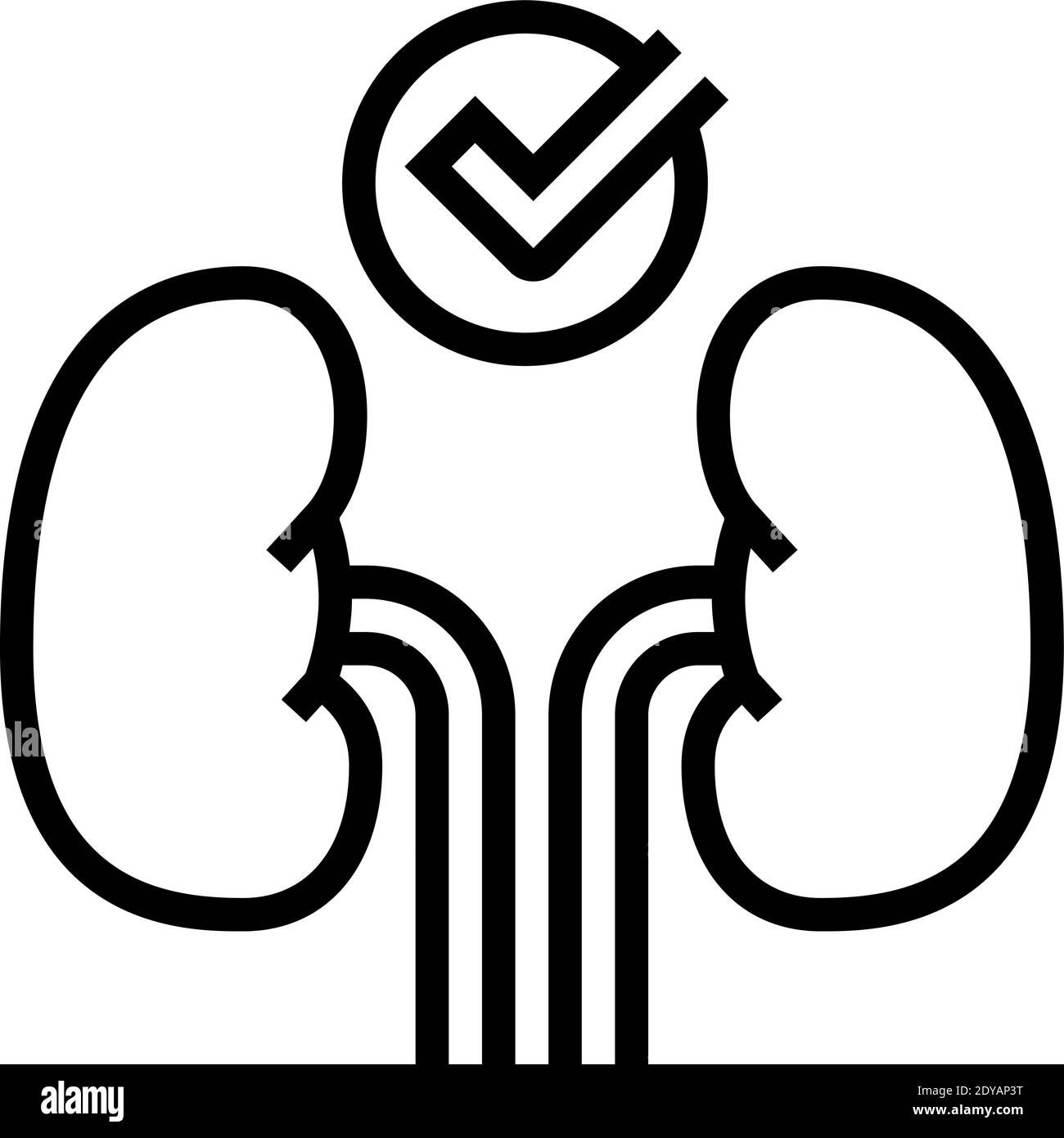 healthy kidneys line icon vector illustration Stock Vector Image & Art ...