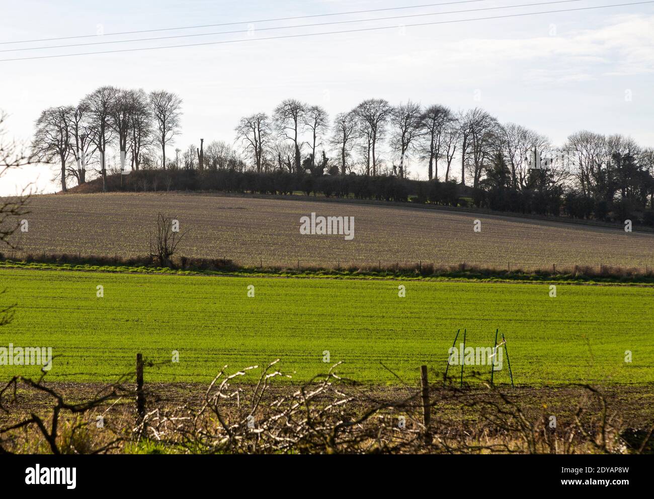 Neolithic long barrow at East Kennett, Wiltshire, England, UK Stock ...