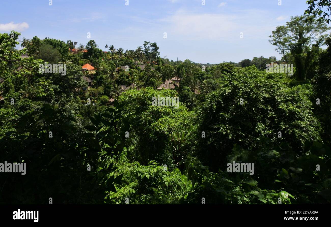 The buildings between trees under the blue sky Stock Photo - Alamy