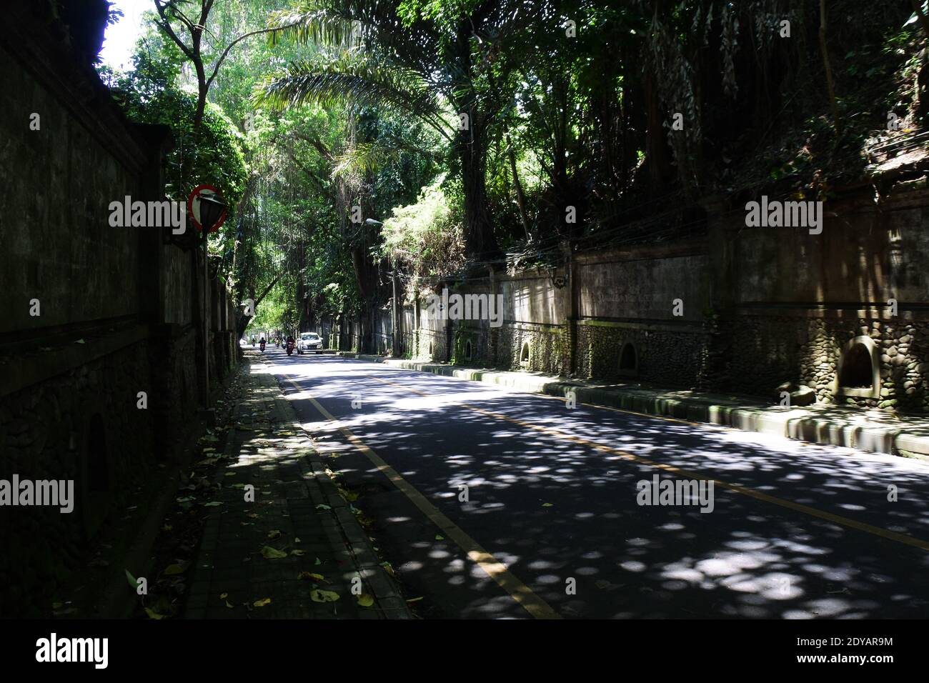 Road through town surrounded by trees Stock Photo - Alamy
