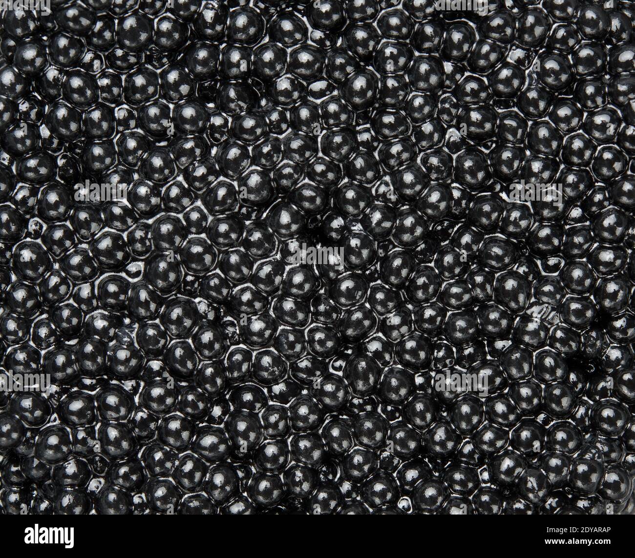 paddlefish black caviar texture, gourmet and delicious food, close up ...