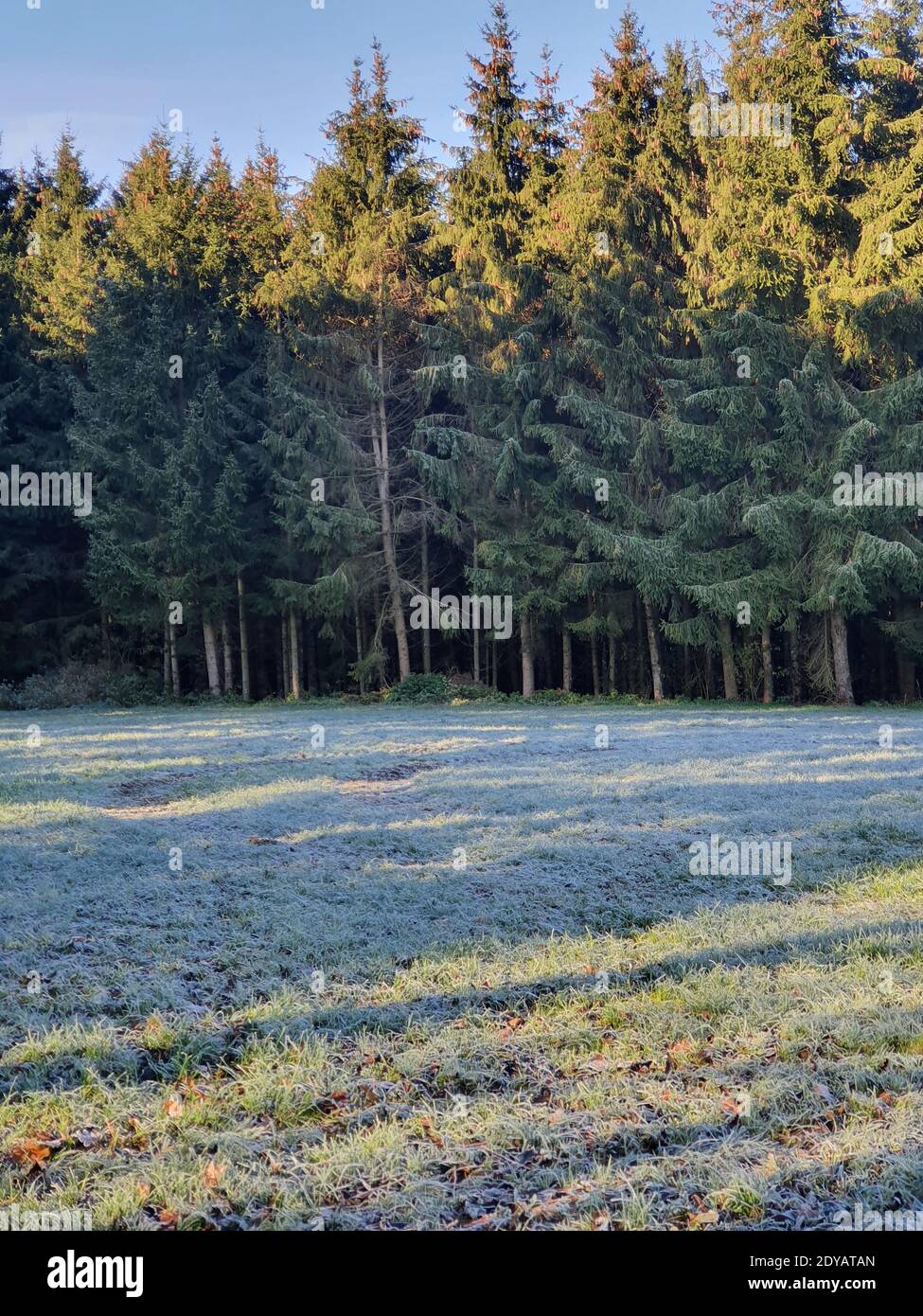 A beautiful shot of a frozen landscape Stock Photo - Alamy