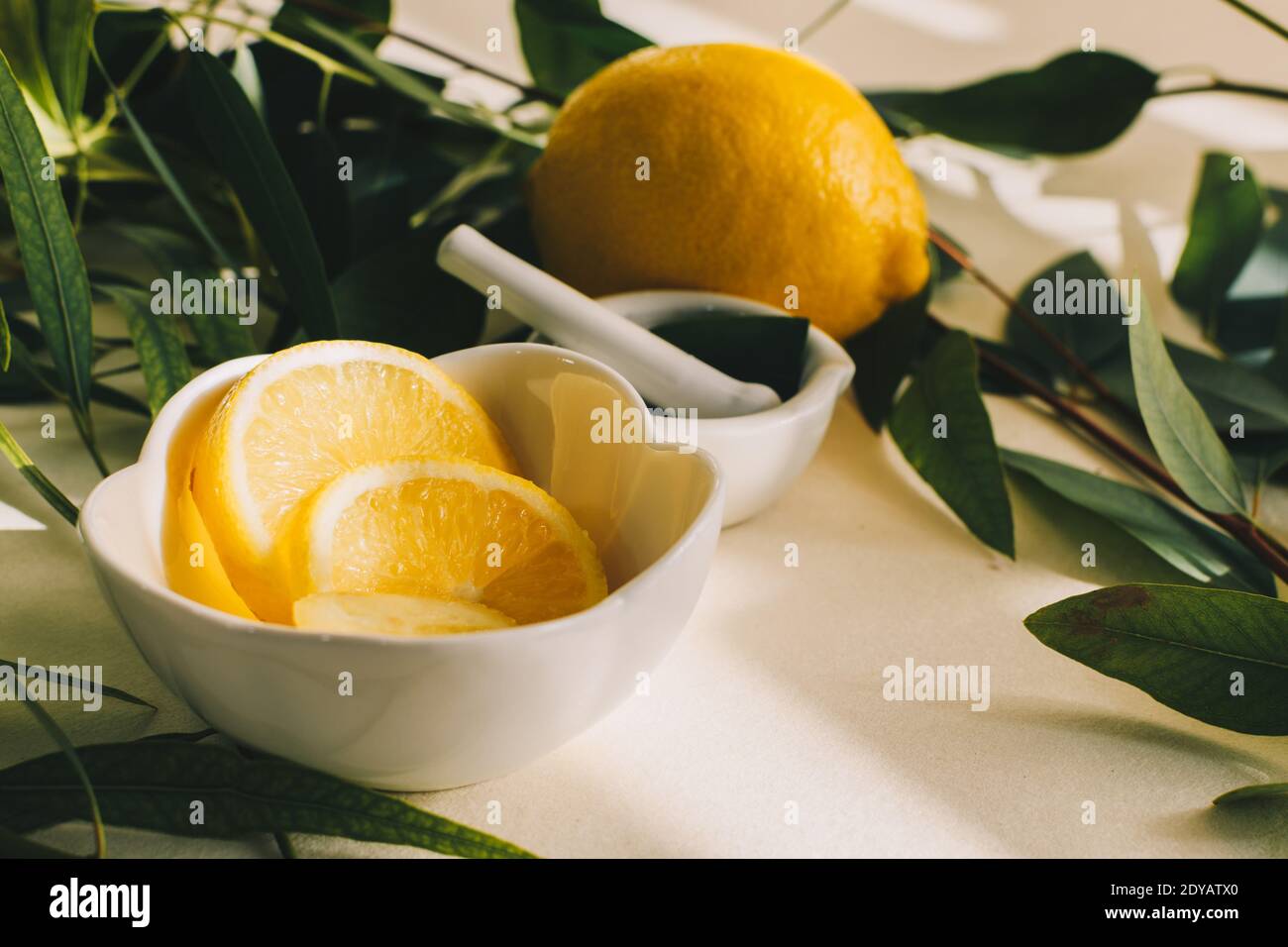 A lemon and eucalyptus leaves in small white ceramic mortar - creative ...