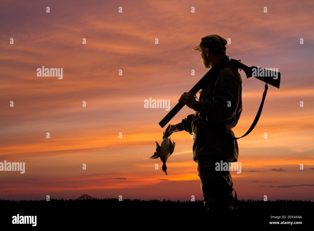 Duck hunter silhouette hi-res stock photography and images - Alamy