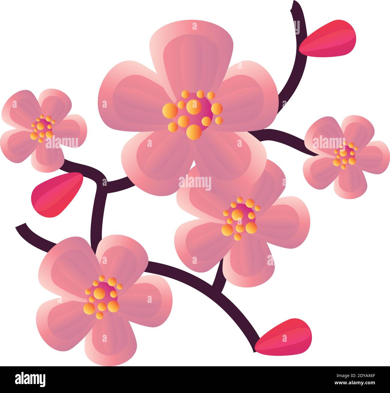 Chinese pink flowers design, China culture asia and oriental theme ...