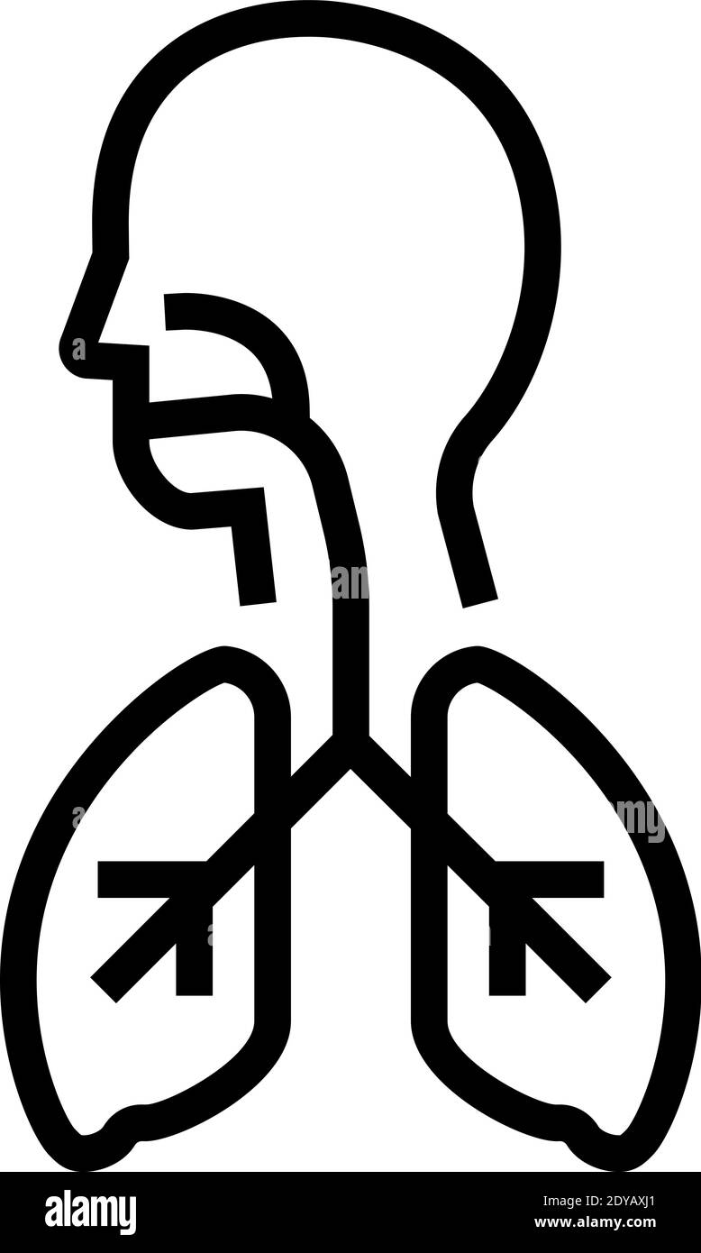 Healthy Lungs Line Icon Vector Illustration Stock Vector Image And Art