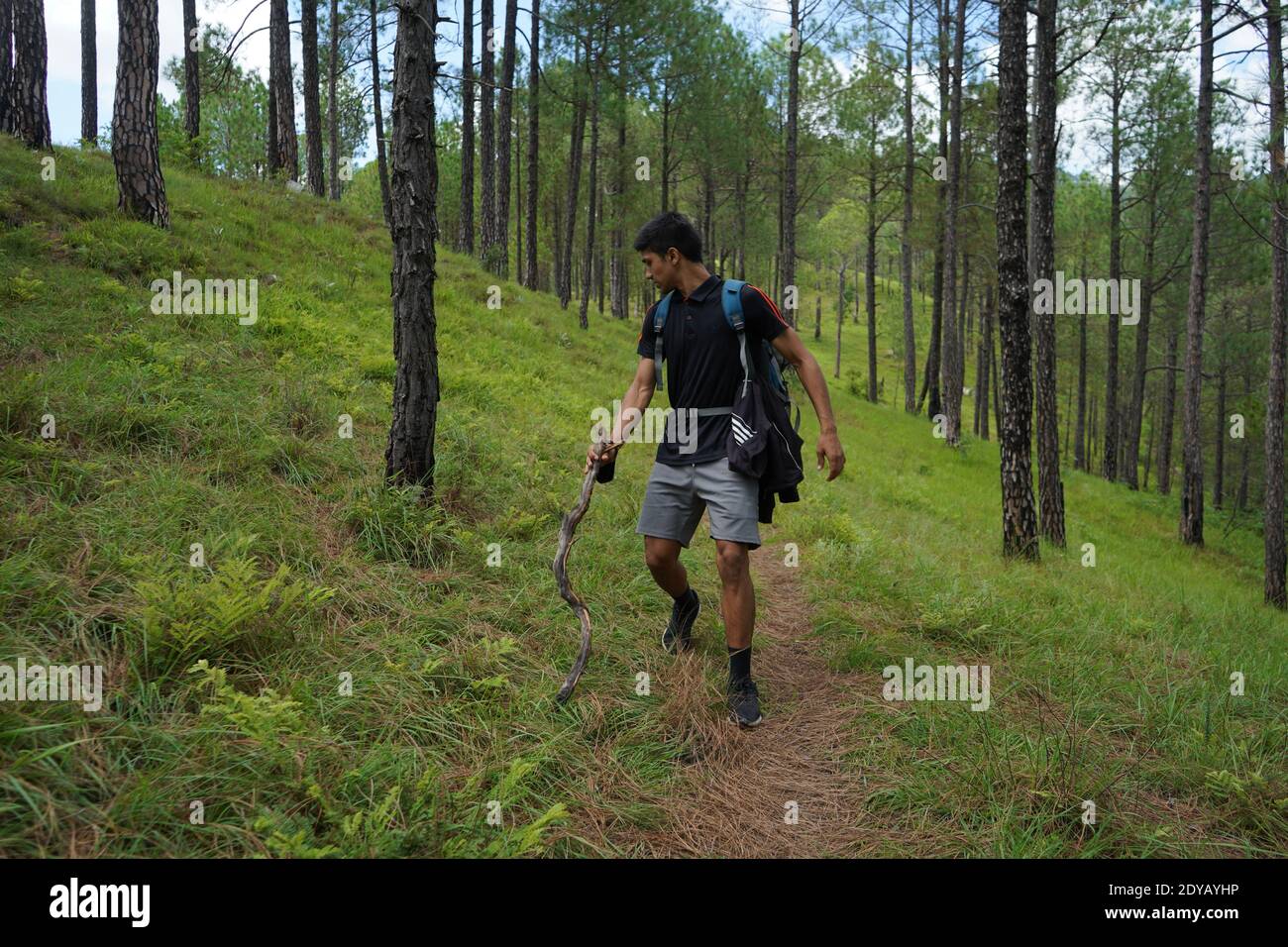Indian man with walking stick hi-res stock photography and images - Alamy