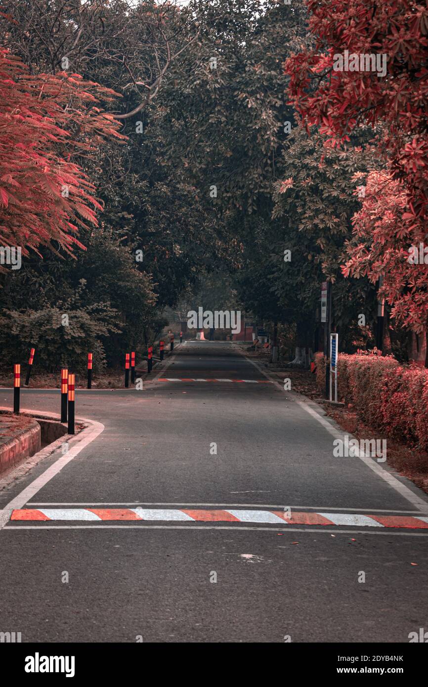 Lucknow road hi-res stock photography and images - Alamy