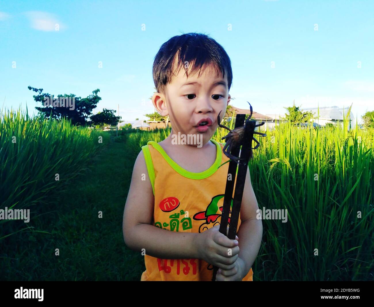 Wow nice hi-res stock photography and images - Alamy