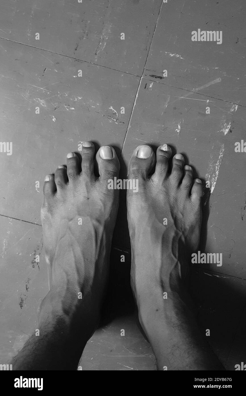 White foots hi-res stock photography and images - Alamy