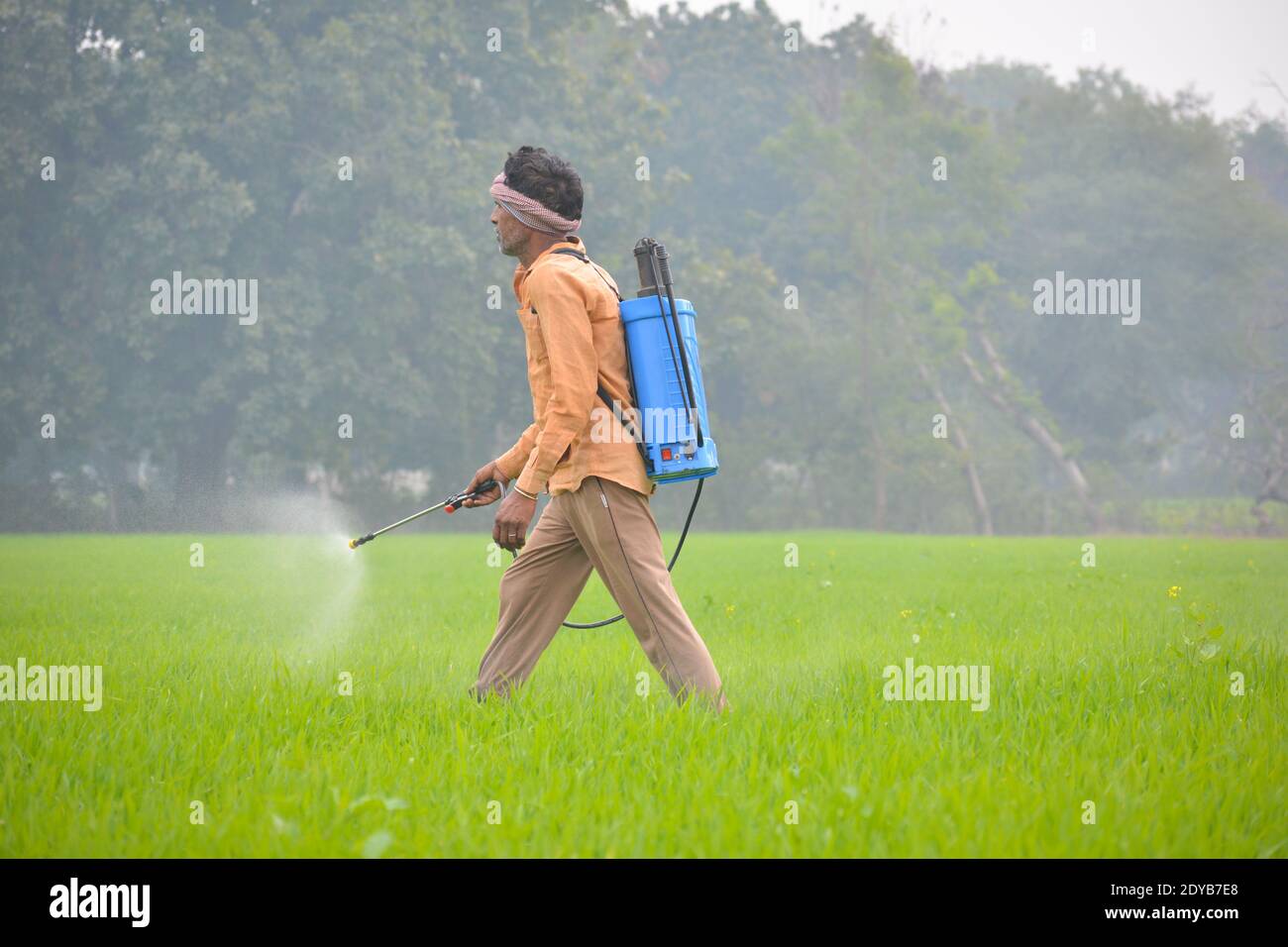Fertilizer spraying lawn hi-res stock photography and images - Alamy