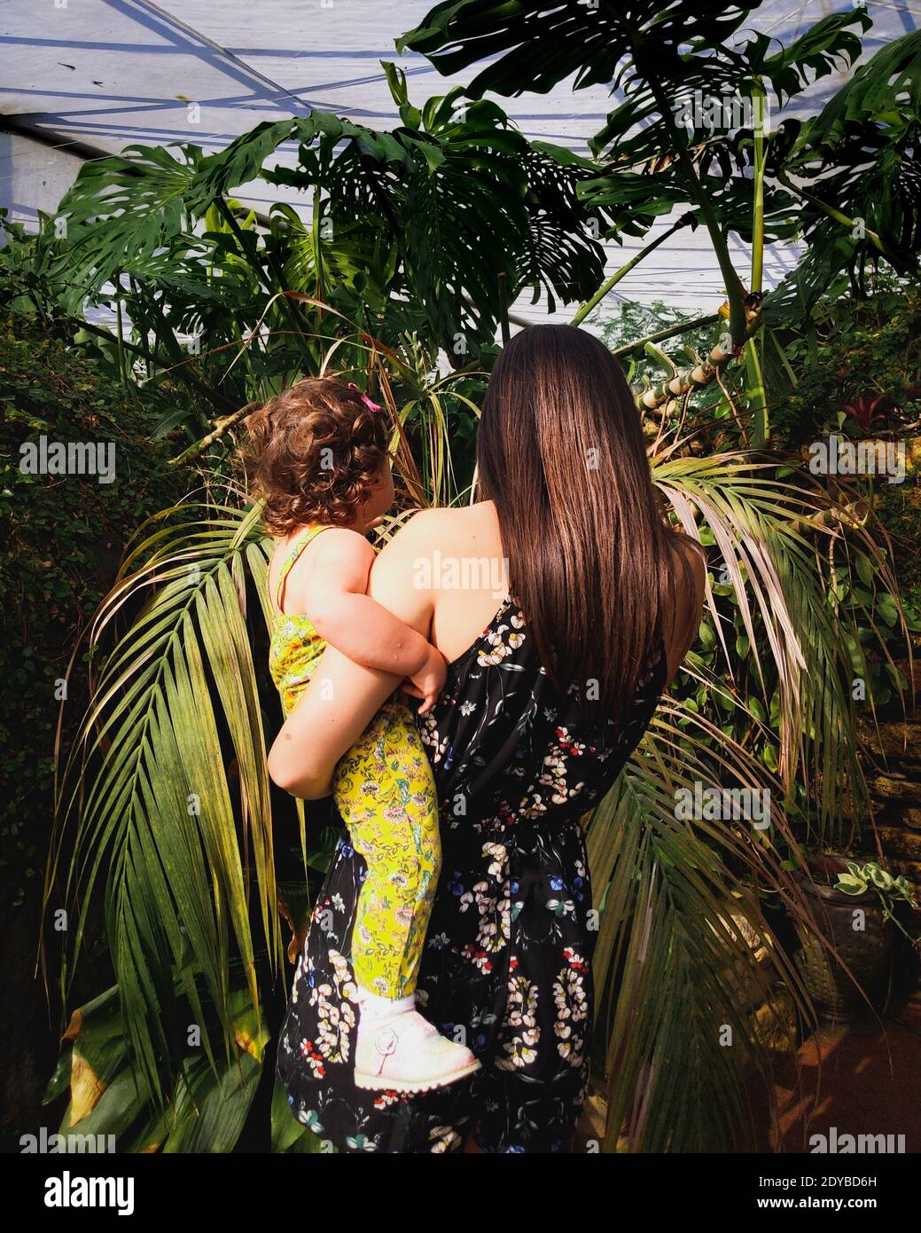 Ivy tree and baby hi-res stock photography and images - Alamy
