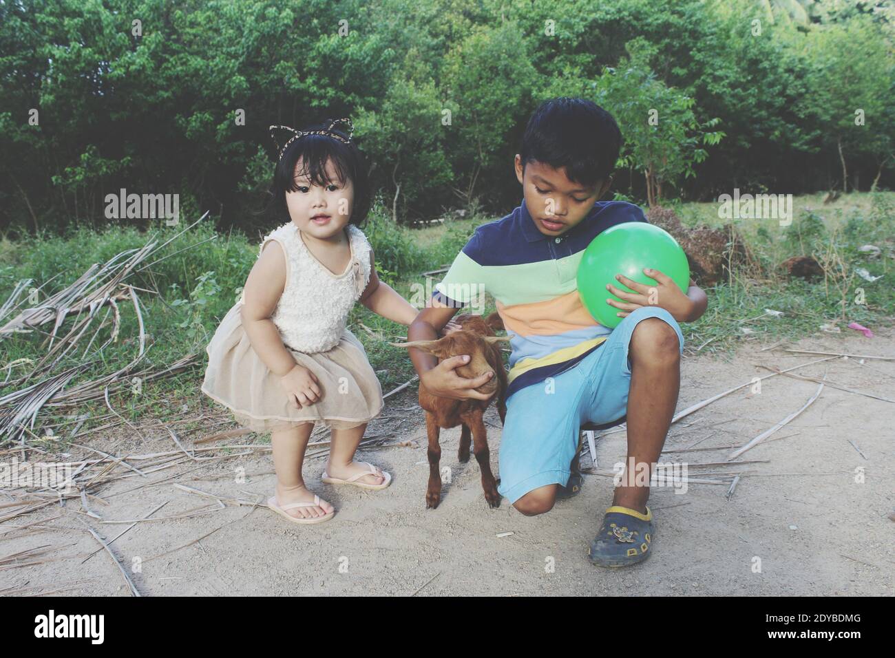 Indian goad hi-res stock photography and images - Alamy