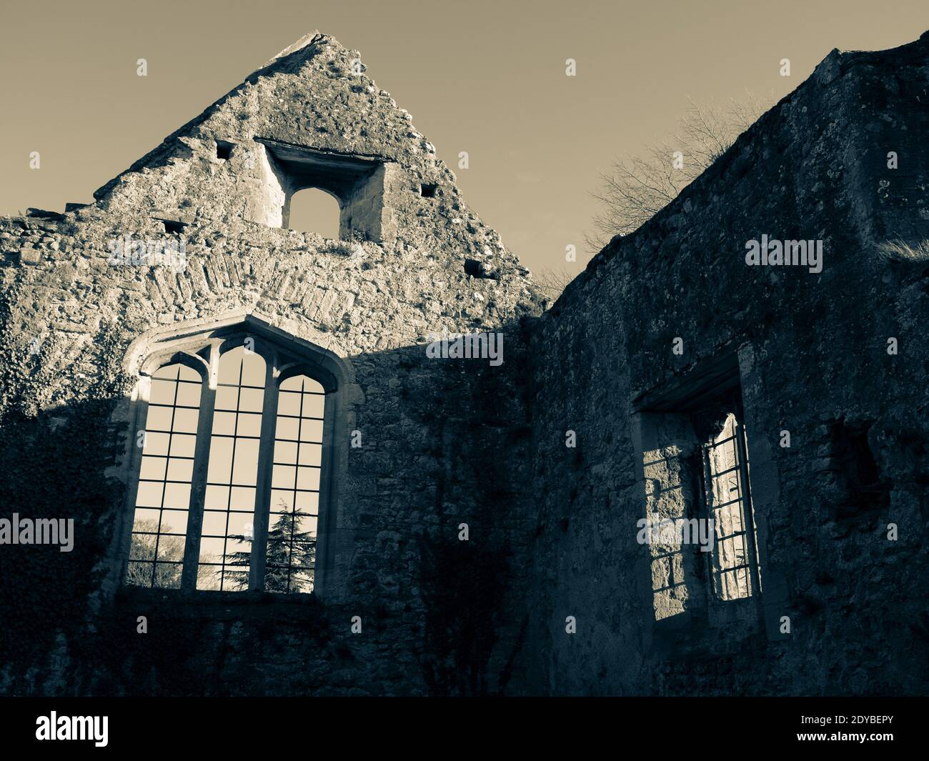 Black and White Landscape, Godstow Abbey, Godstow, Oxford, Oxfordshire ...