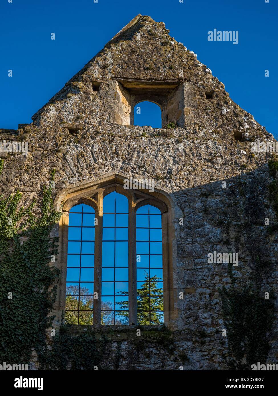 Ruins of Godstow Abbey, Godstow, Oxford, Oxfordshire, England, UK, GB ...