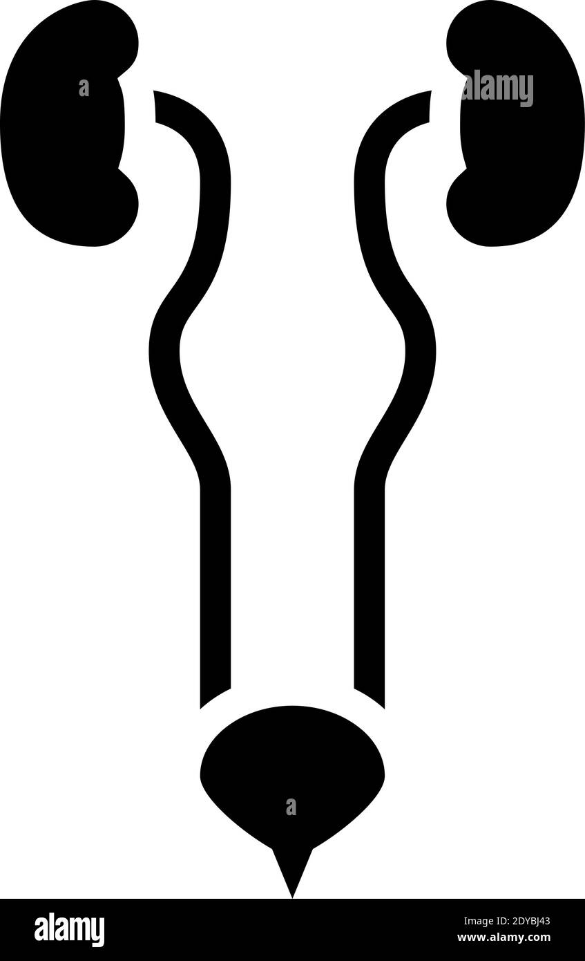 urinary system glyph icon vector illustration Stock Vector Image & Art ...