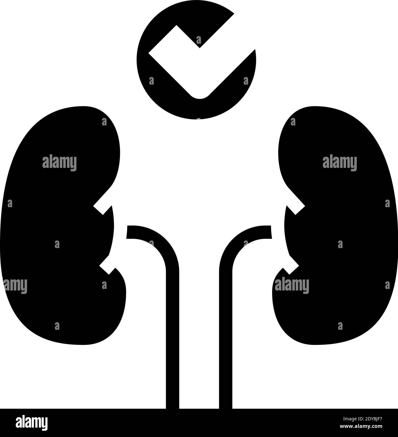 healthy kidneys glyph icon vector illustration Stock Vector Image & Art ...