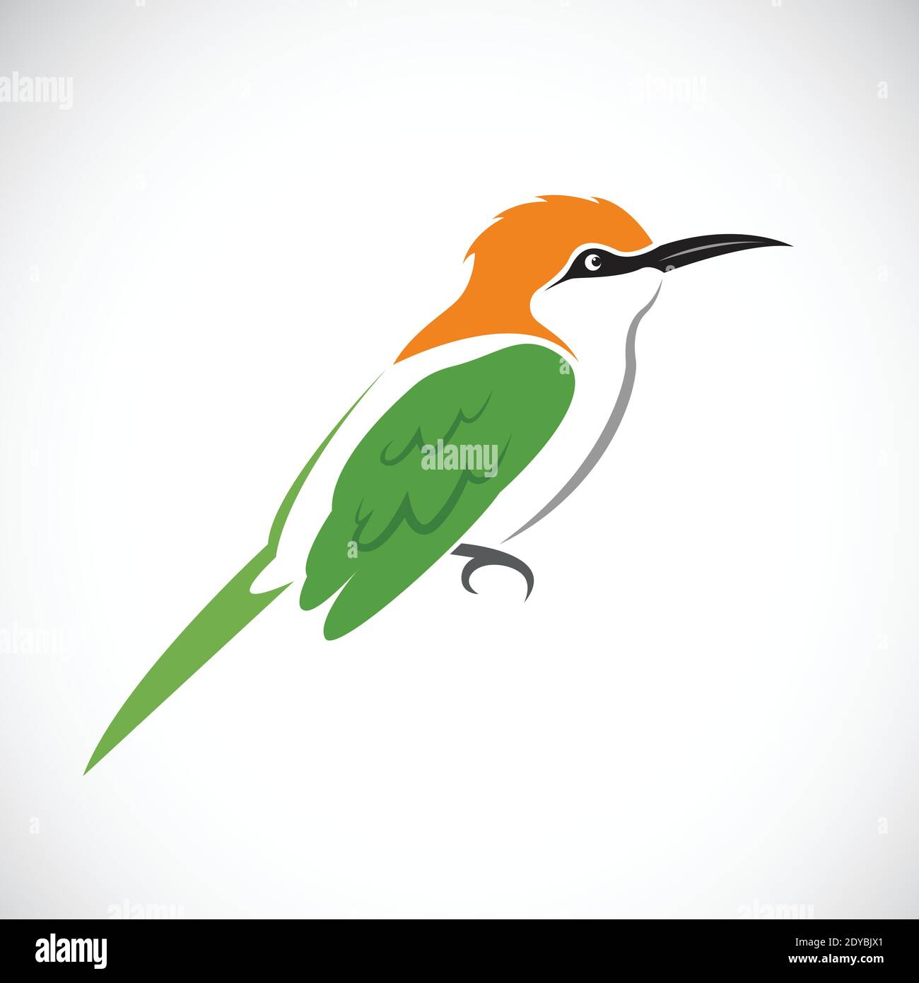 Vector of bird on white background. Green Bee-eater. Easy editable ...