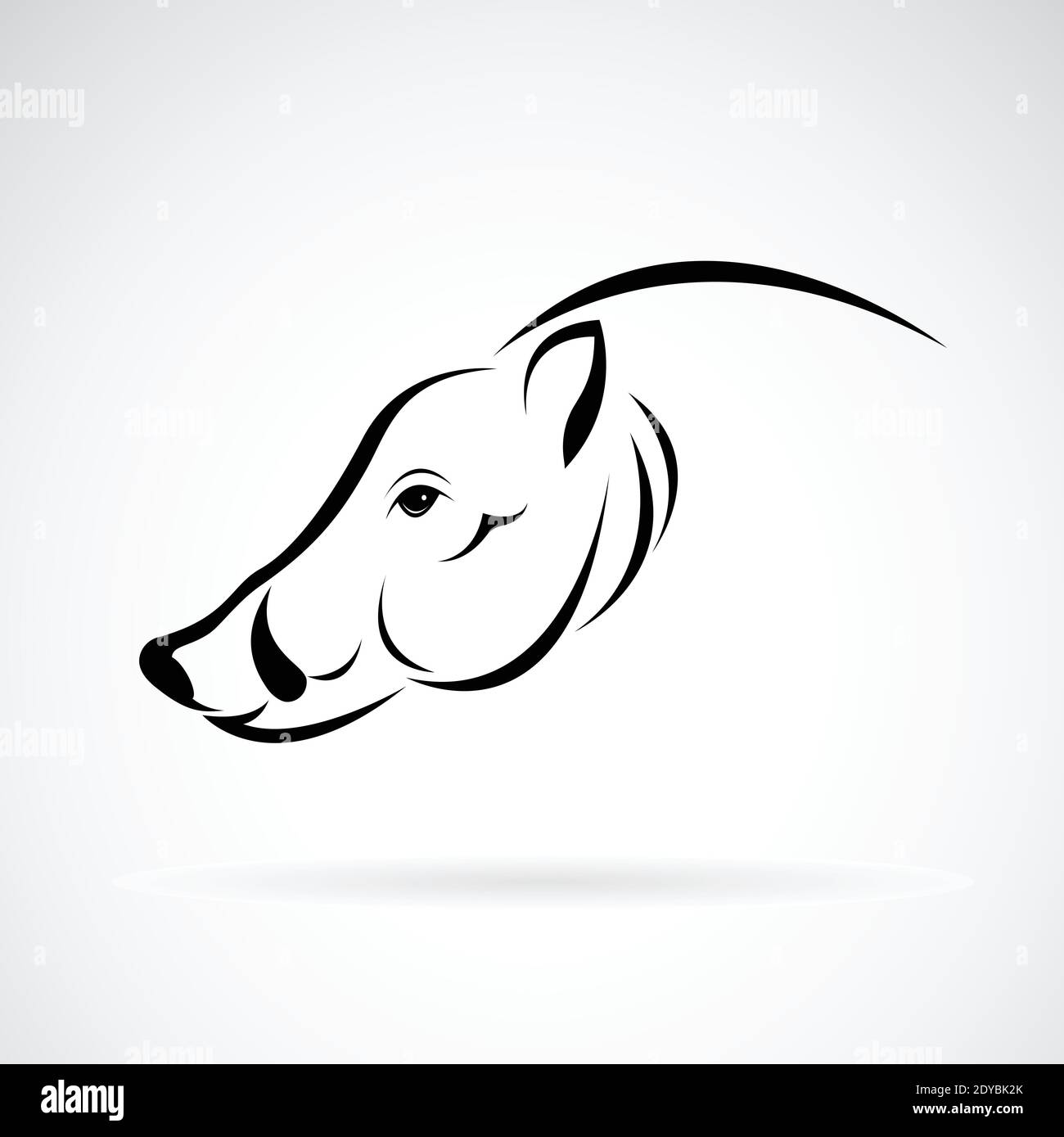 Angry boar Stock Vector Images - Alamy