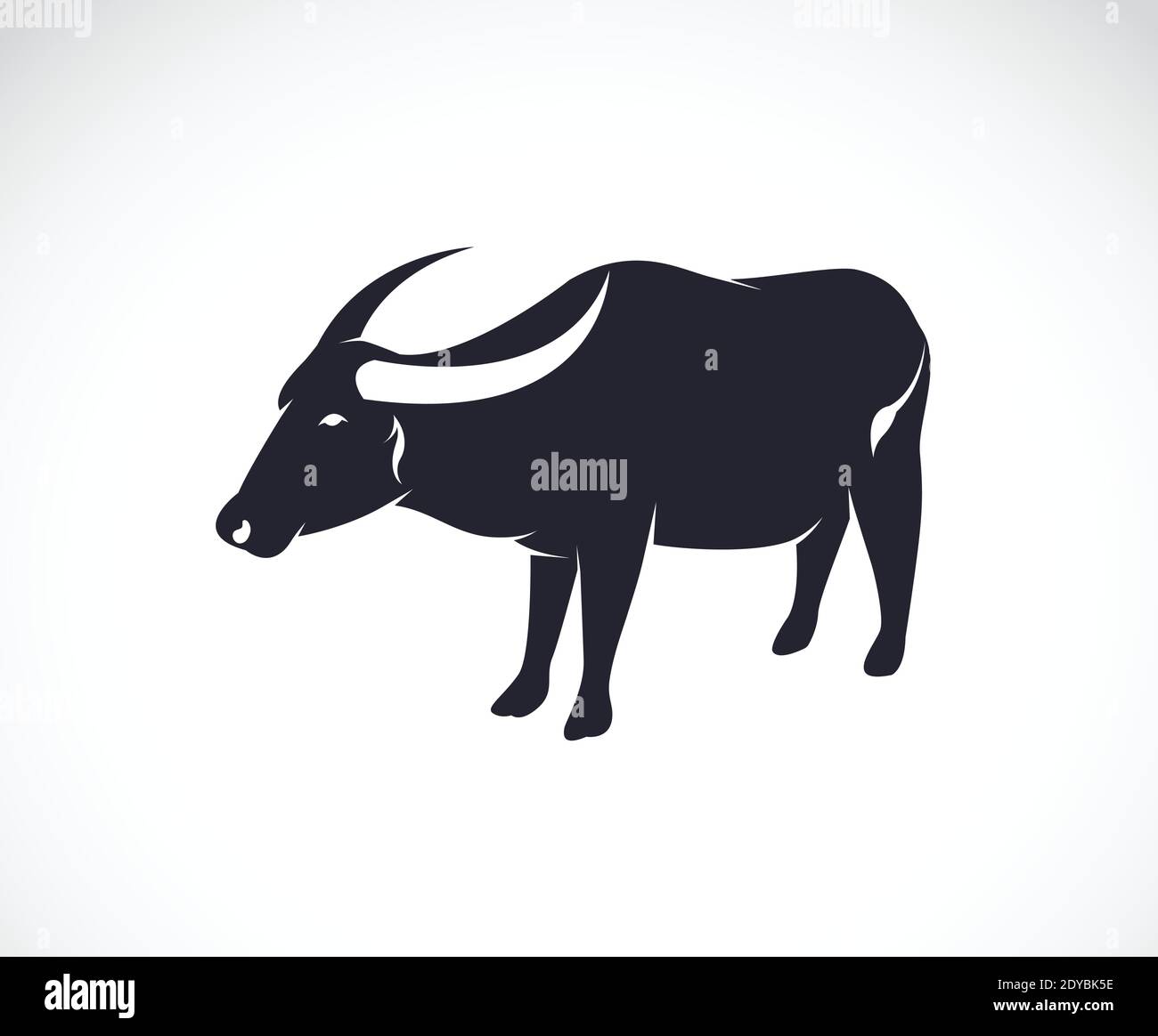 Vector of a buffalo on white background. Easy editable layered vector ...