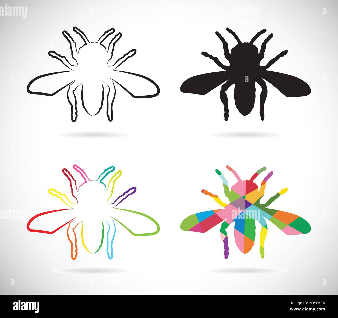 Vector of insects on white background. Easy editable layered vector ...