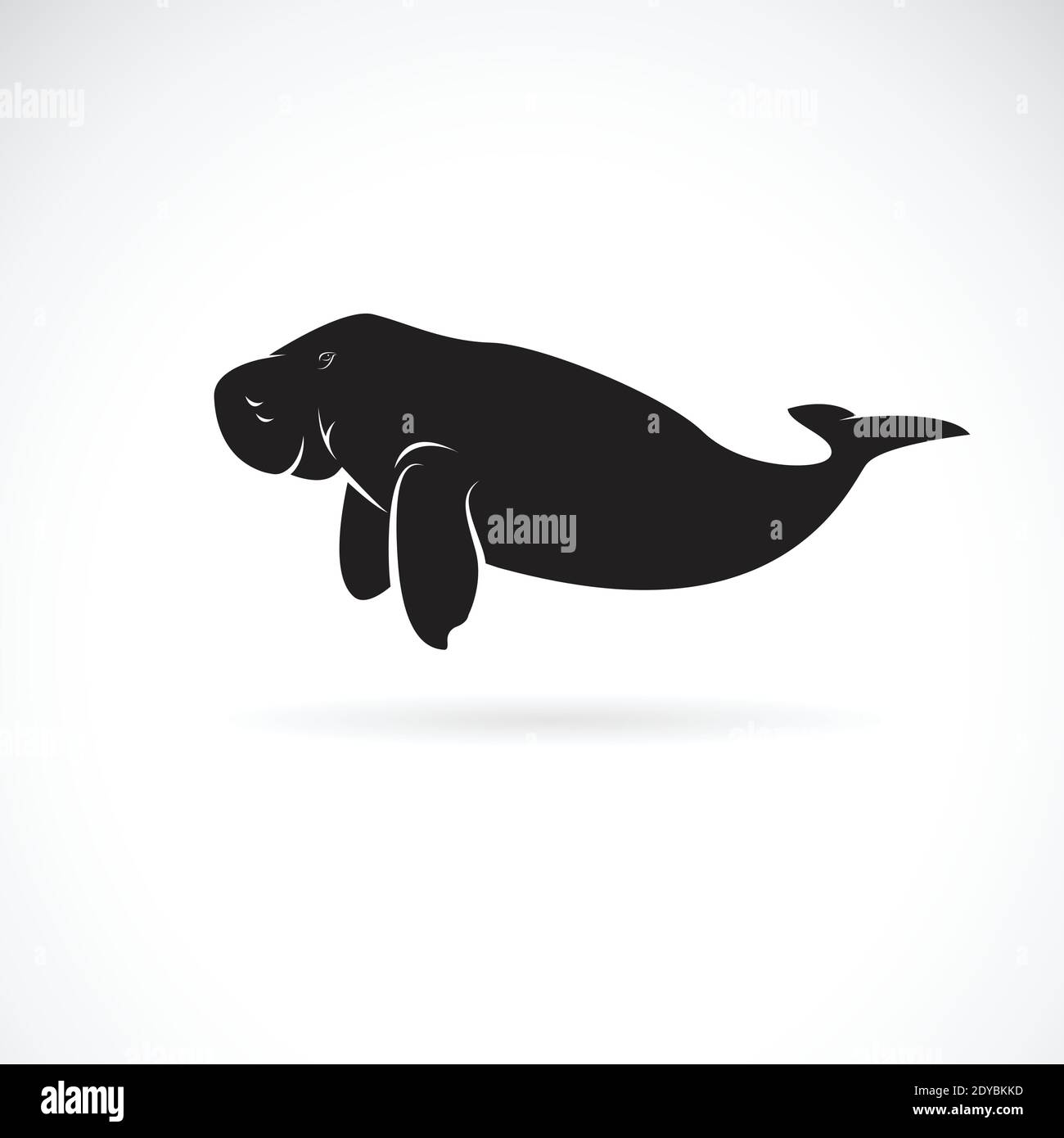 Coastal marine animals Stock Vector Images - Alamy