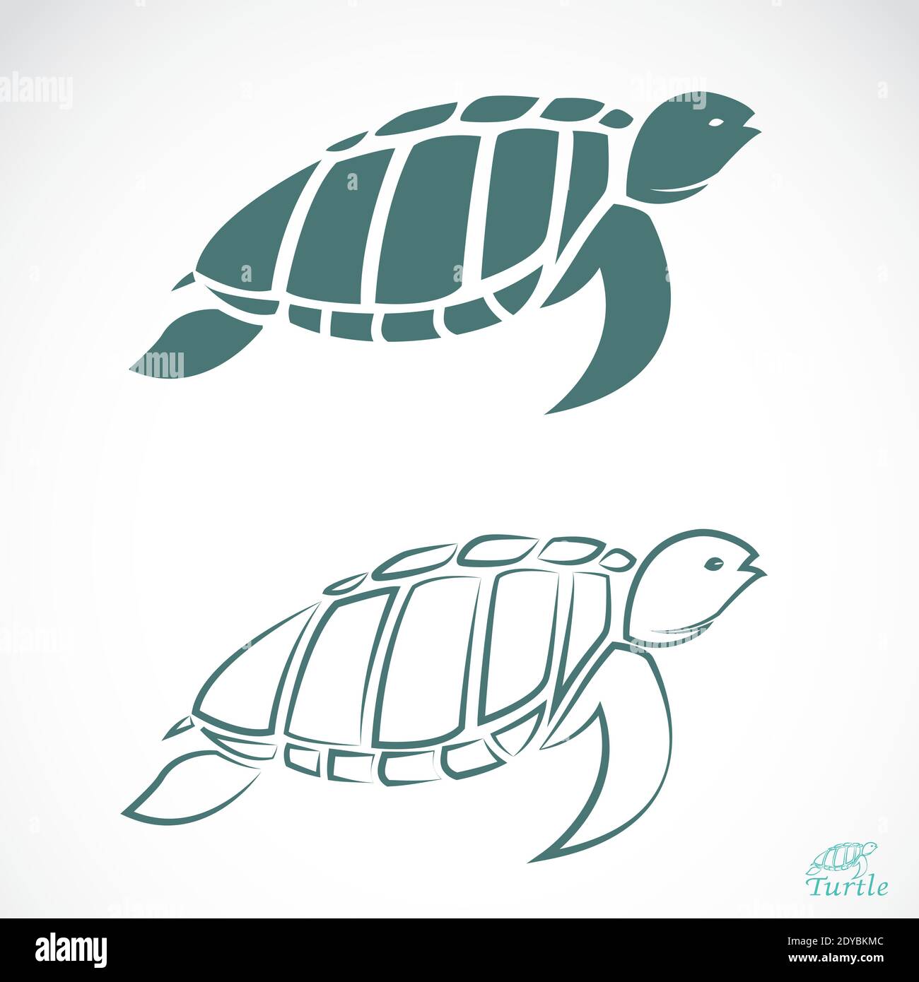 Vector of turtle on white background. Easy editable layered vector ...