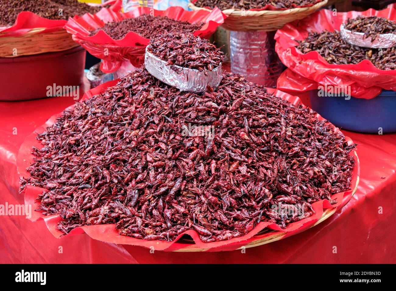 Eat mexican insects hi-res stock photography and images - Alamy