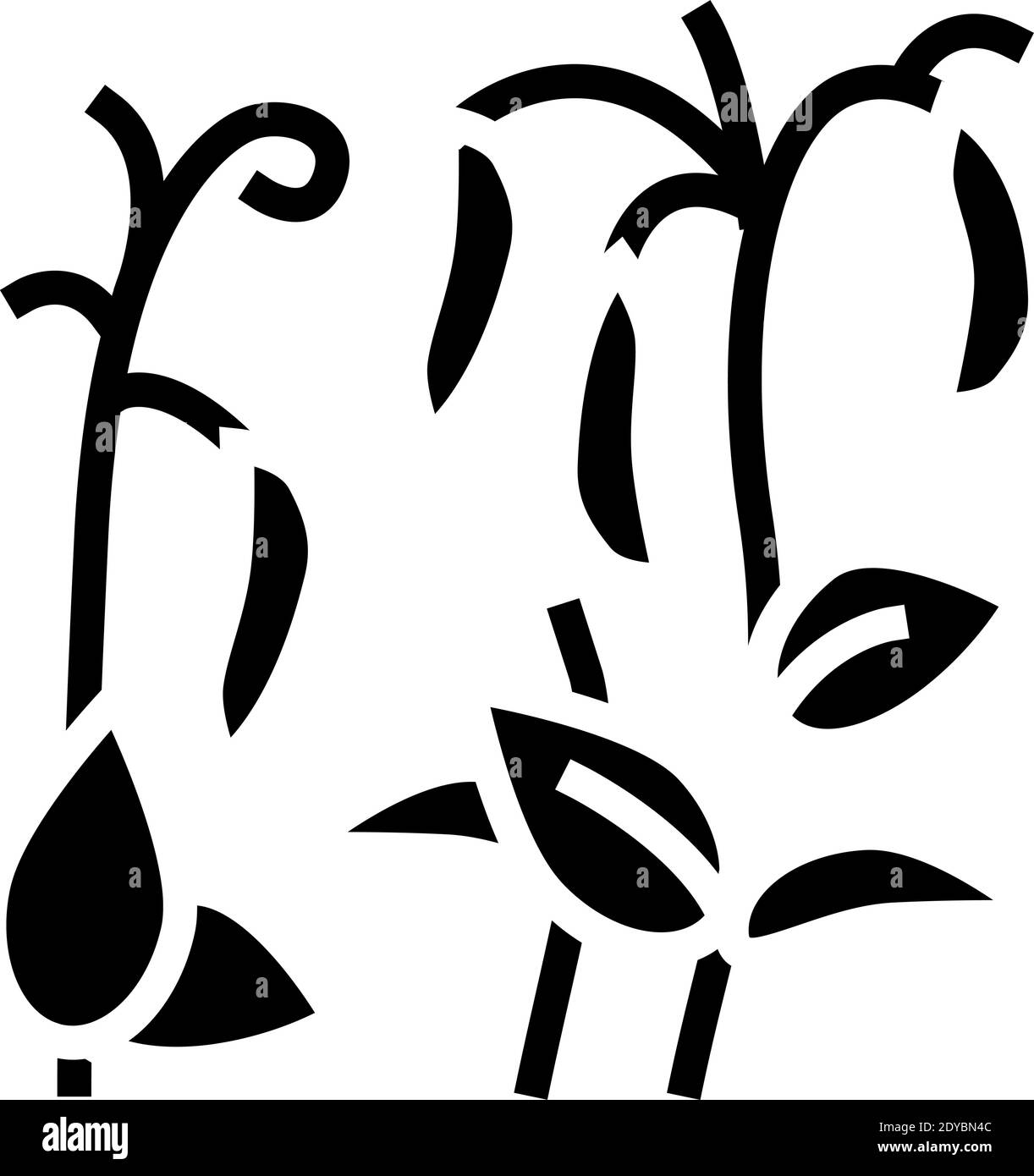 Peas plant flower Black and White Stock Photos & Images - Alamy