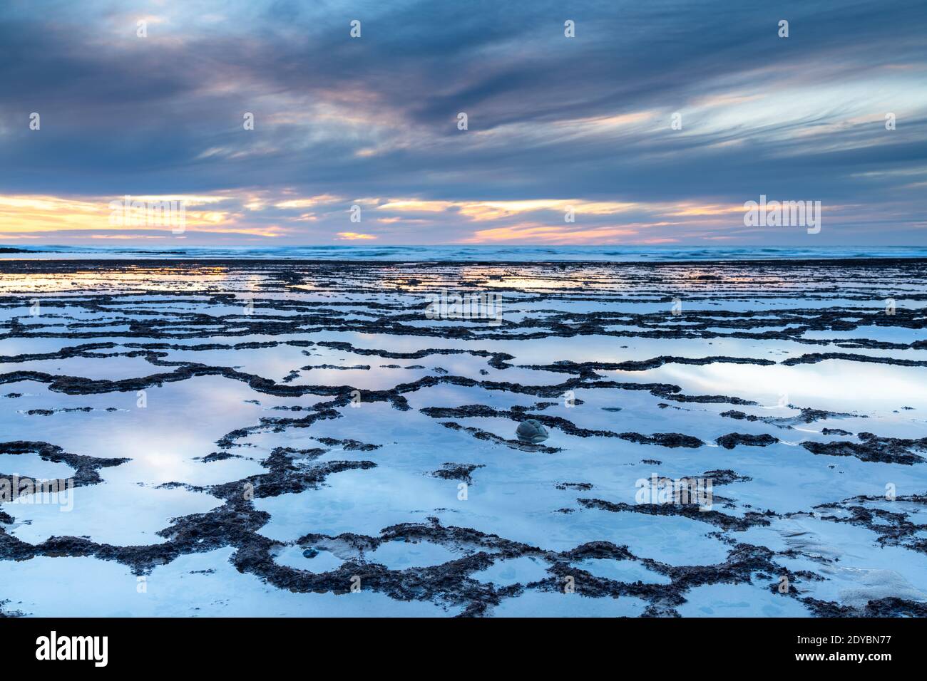 Tidal Pools High Resolution Stock Photography and Images - Alamy
