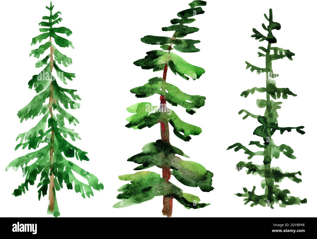 Forest Green Tree Drawing