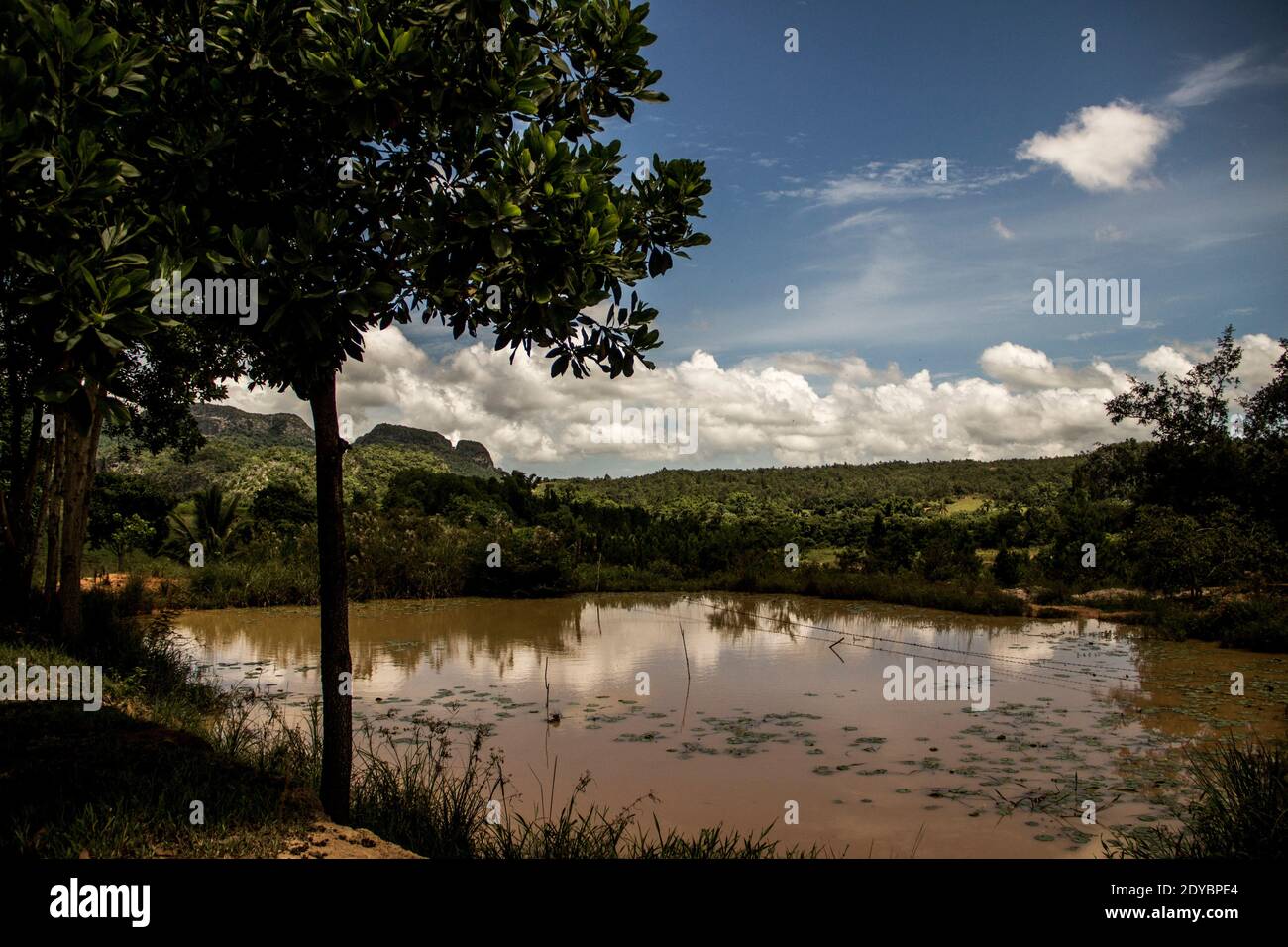 Cuba : The valley of traditional and organic farming. Vinales valley is ...