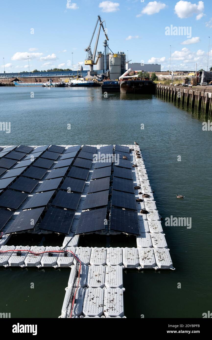 In the Netherlands, in the port of Rotterdam, there is an experimental ...