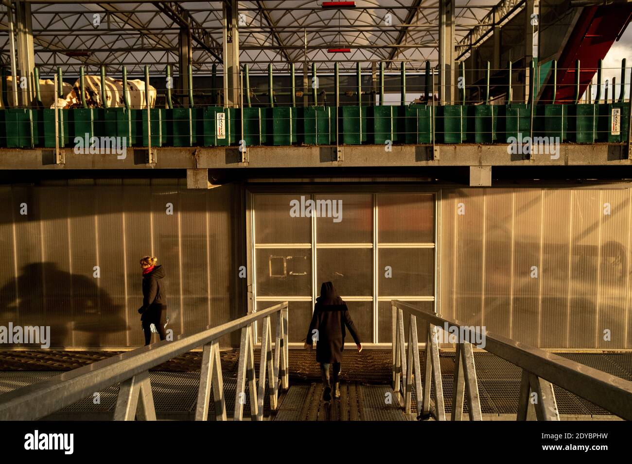 In the Netherlands, in the port of Rotterdam, there is an experimental ...