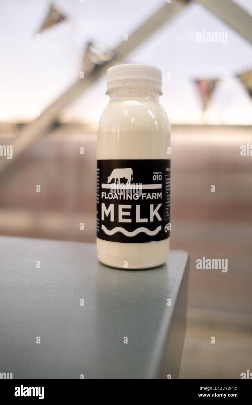 Floating farm cows hi-res stock photography and images - Alamy