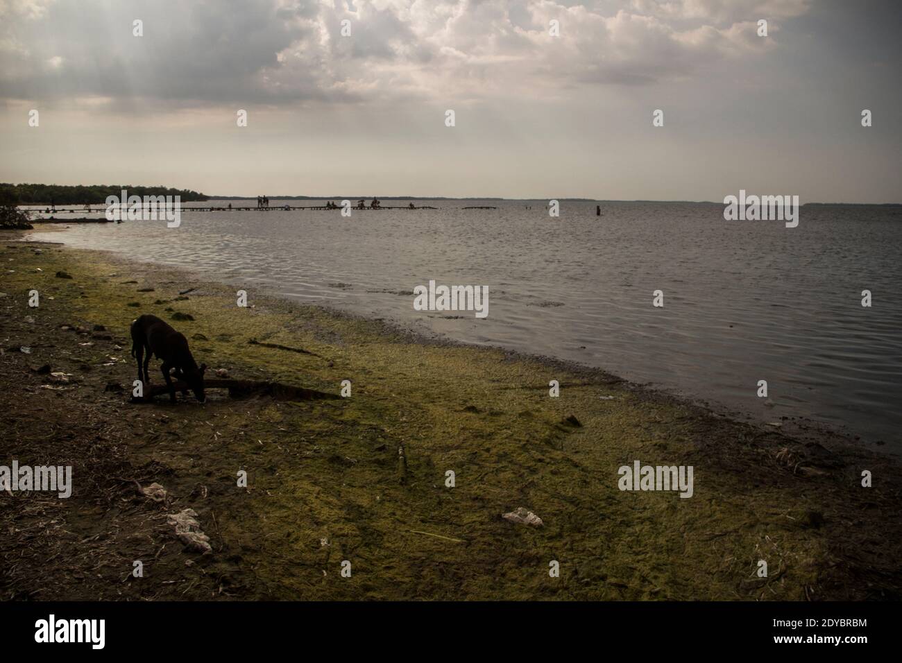 Cuba : The port of hope. Reportage on the small village of Puerto ...